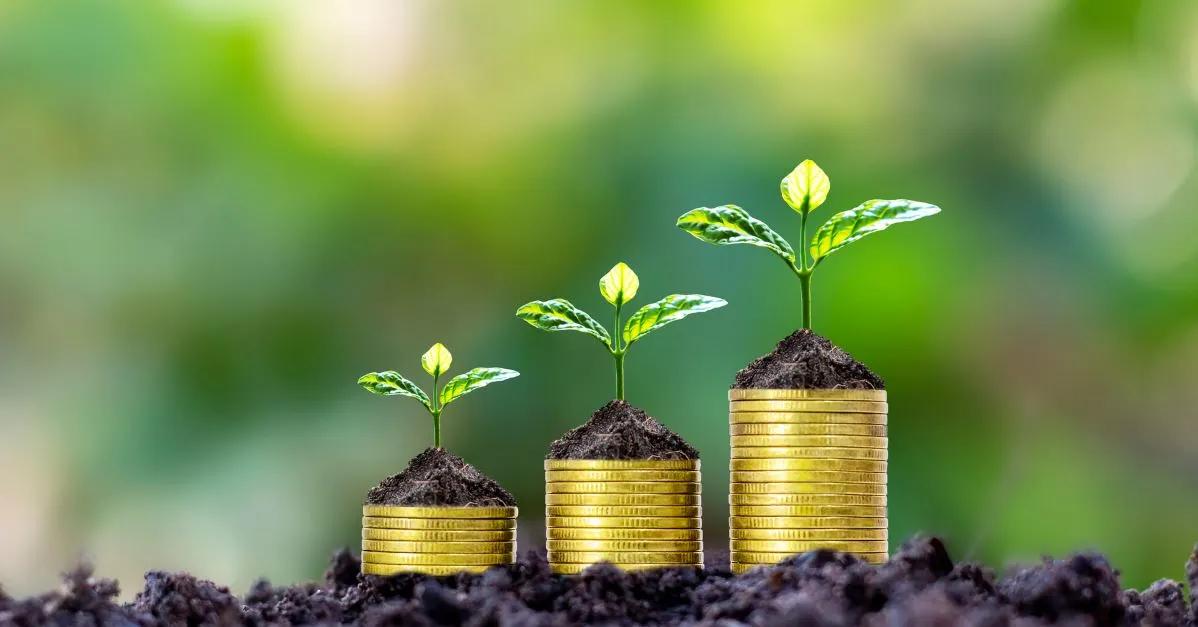 Bitmine Immersion Technologies, Inc. (BMNR) 13.3% in Intraday Trading ...